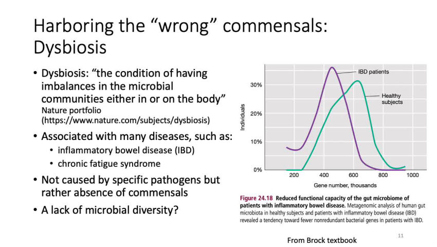 05_Microbial_interactions_Commensalism - GrypsTube